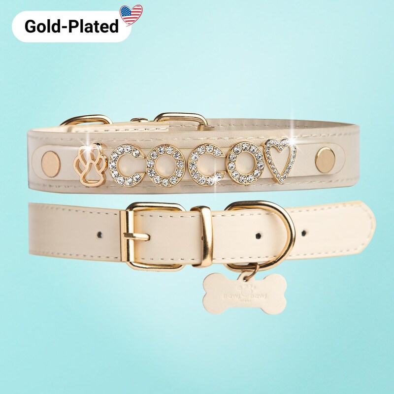 Poodle Dog Collar - Etsy