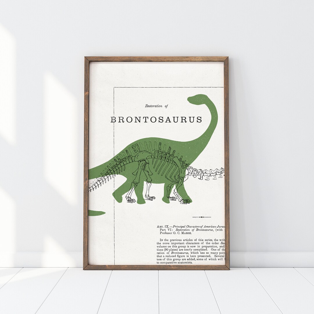 Brontosaurus Dinosaur Art for Kids Room Printable, Paleontology Print ...
