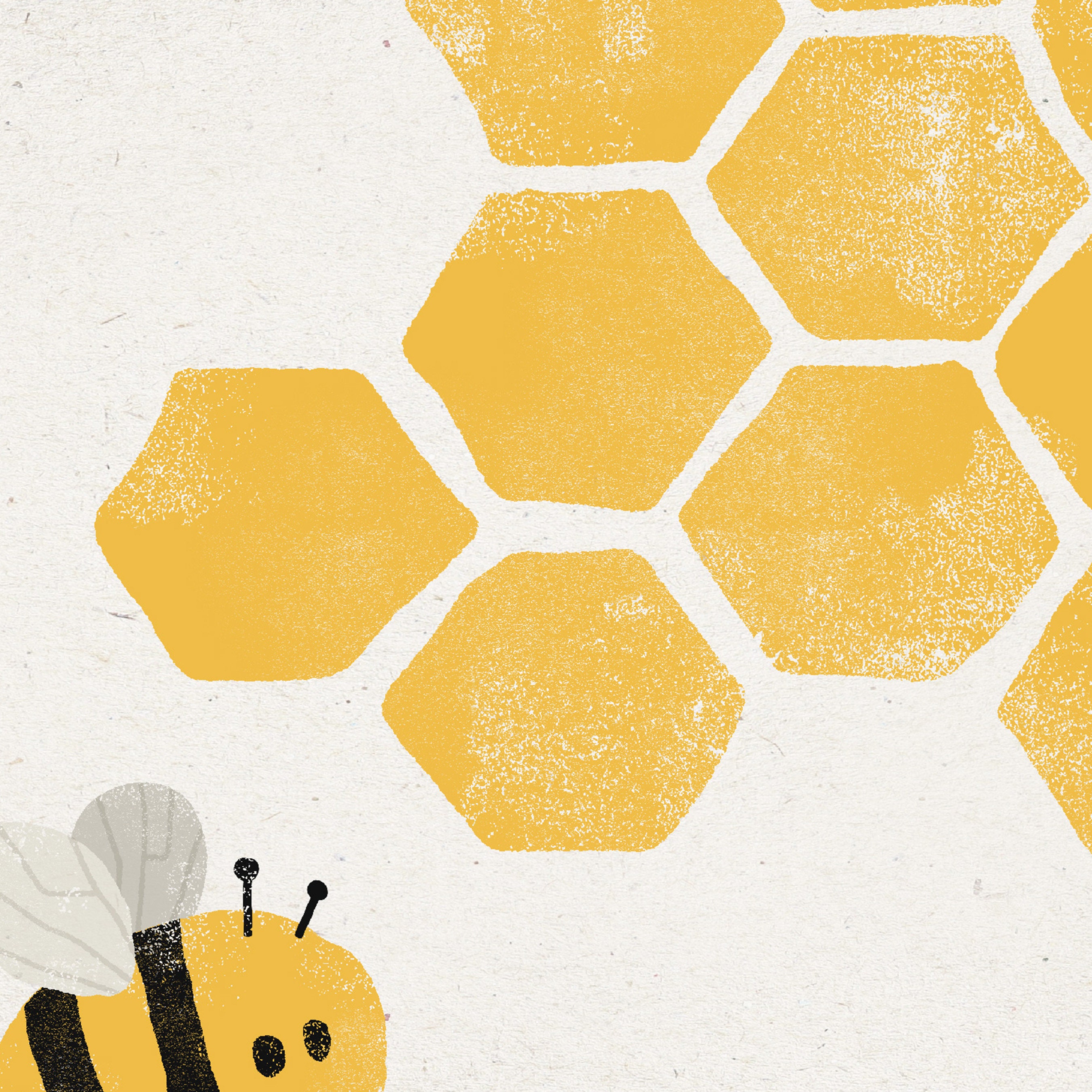 Honeycomb Bee Print Nursery Decor Bee Poster Bee Nursery | Etsy