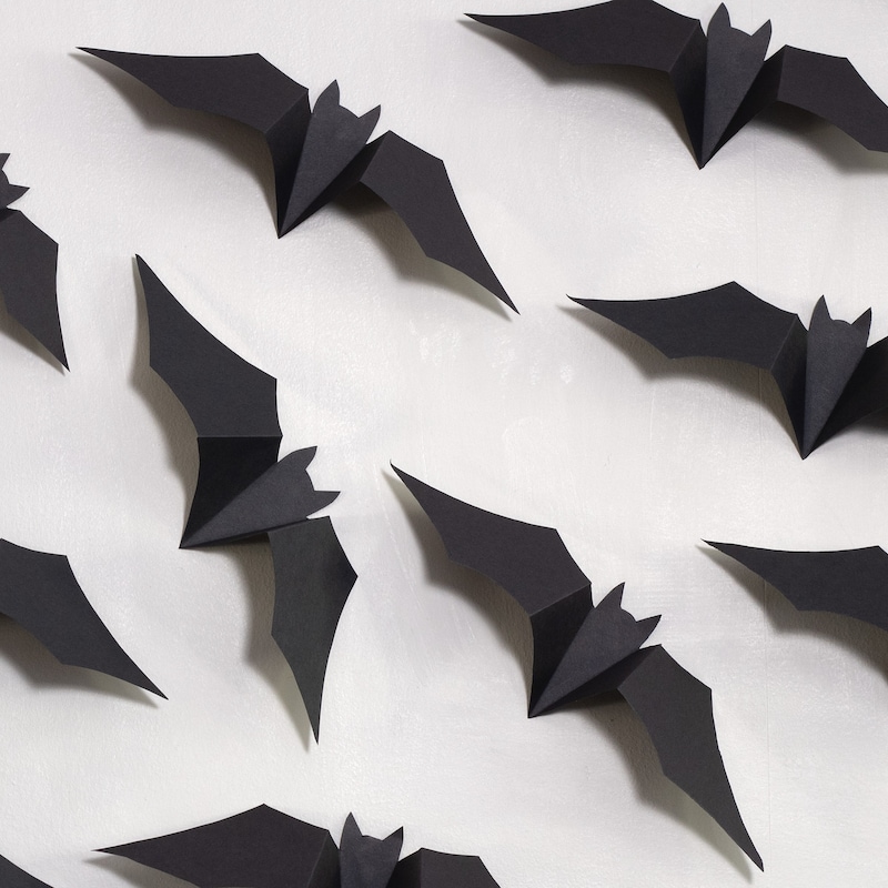 Bat Decor - Etsy