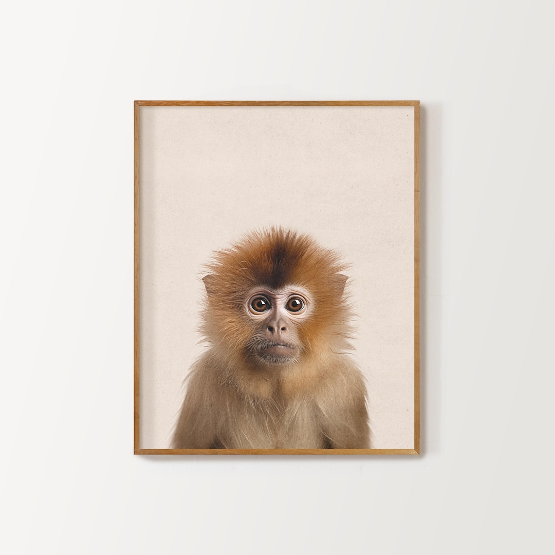 Safari Nursery Prints, Baby Room Decor, Monkey Nursery Prints, Gender ...