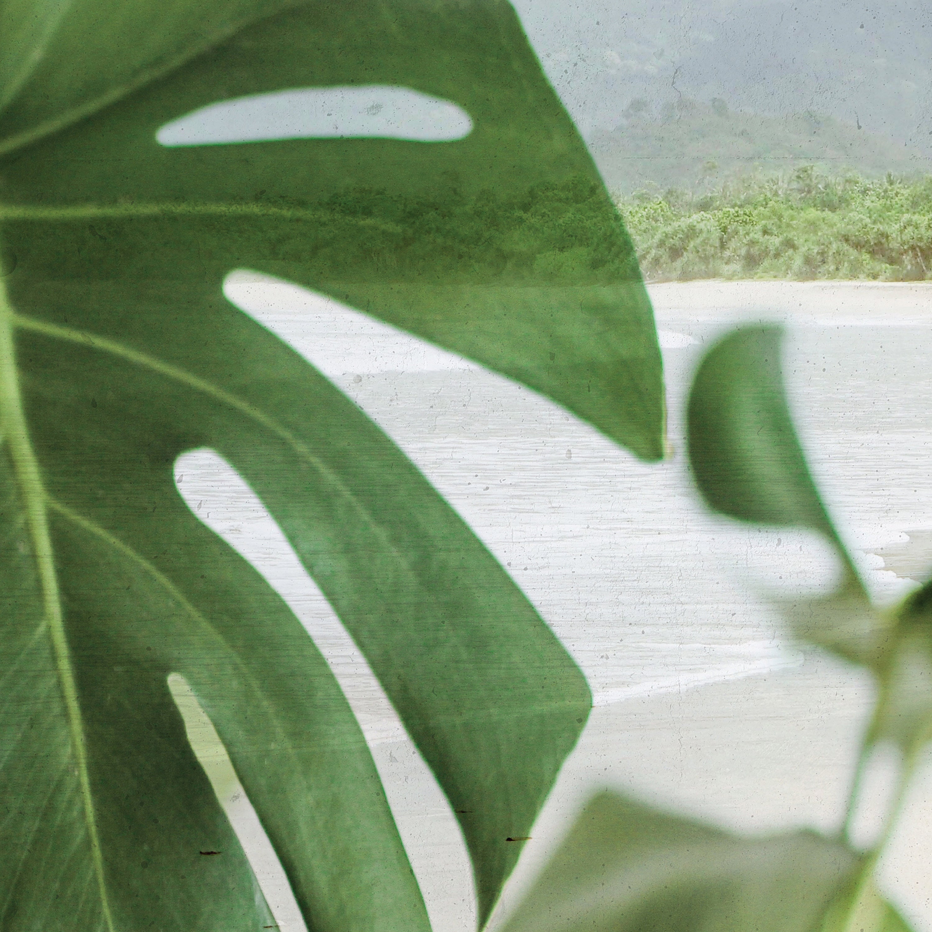 Jungle Palm Print Home Decor Printable Digital Download | Etsy