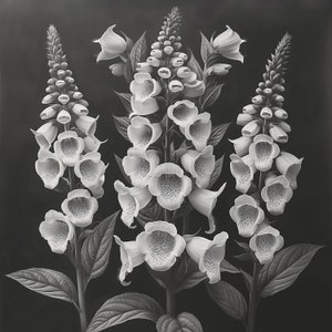 Wildflower Whimsigoth Decor PRINTABLE Wall Art 4 Piece Vintage Flowers ...