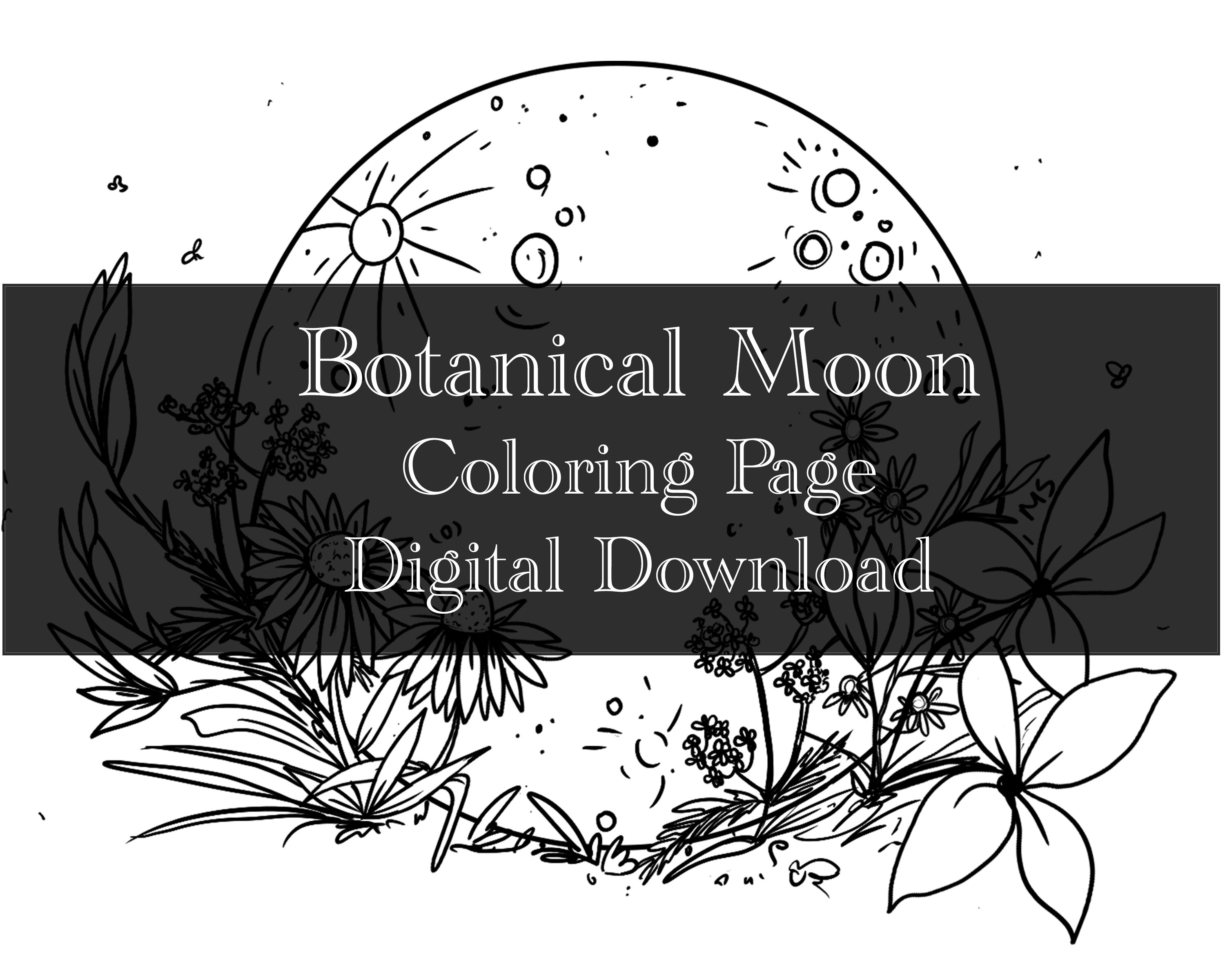 Floral Moon Adult Coloring Page Print At Home Digital Download | Etsy