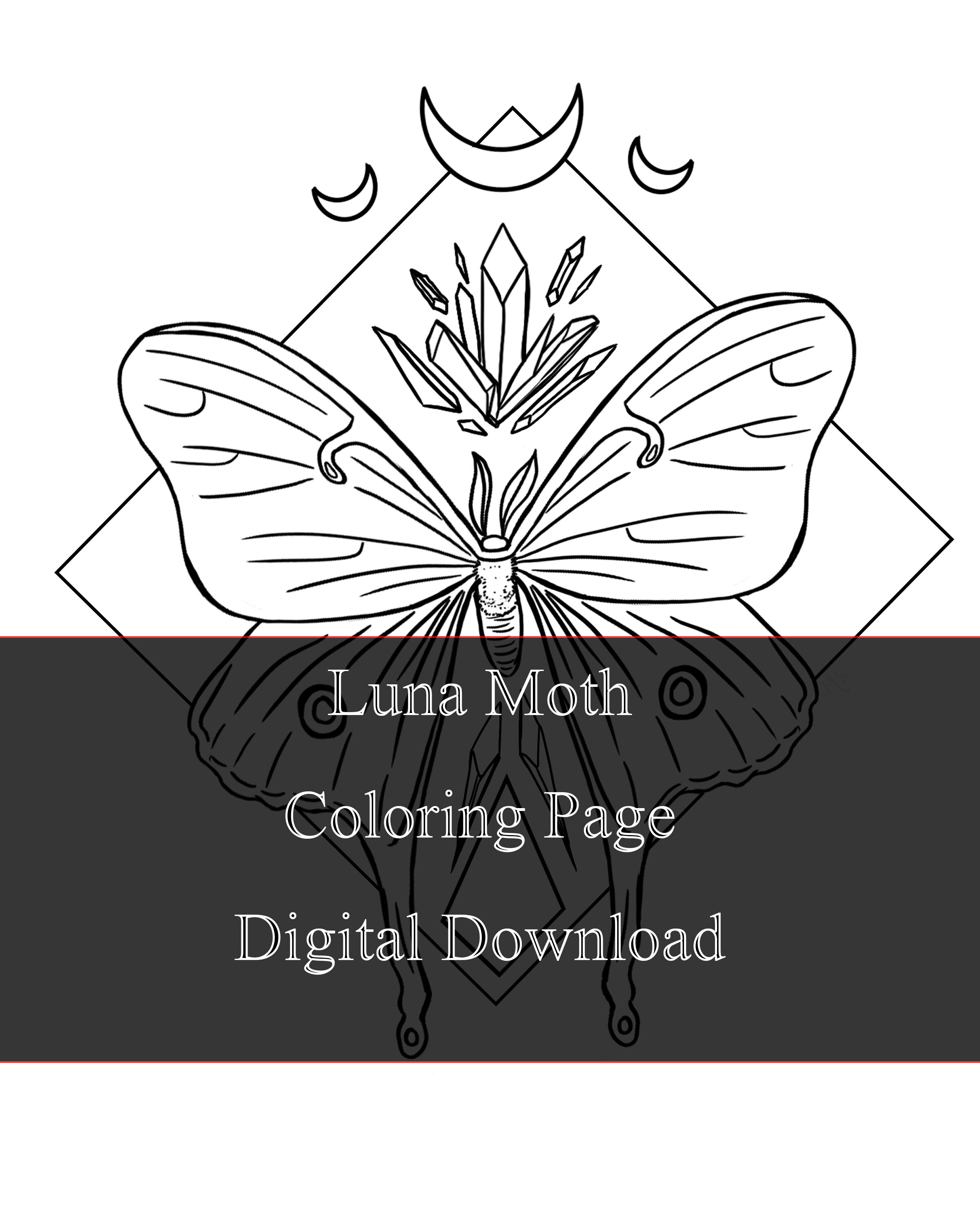 Luna Moth Adult Coloring Page Print At Home Digital Download | Etsy