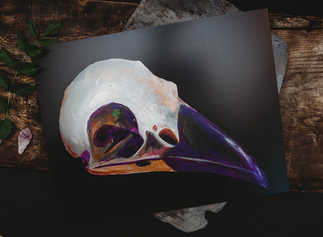 Raven Skull Art Print Animal Bones Series 8x11 Art Print - Etsy