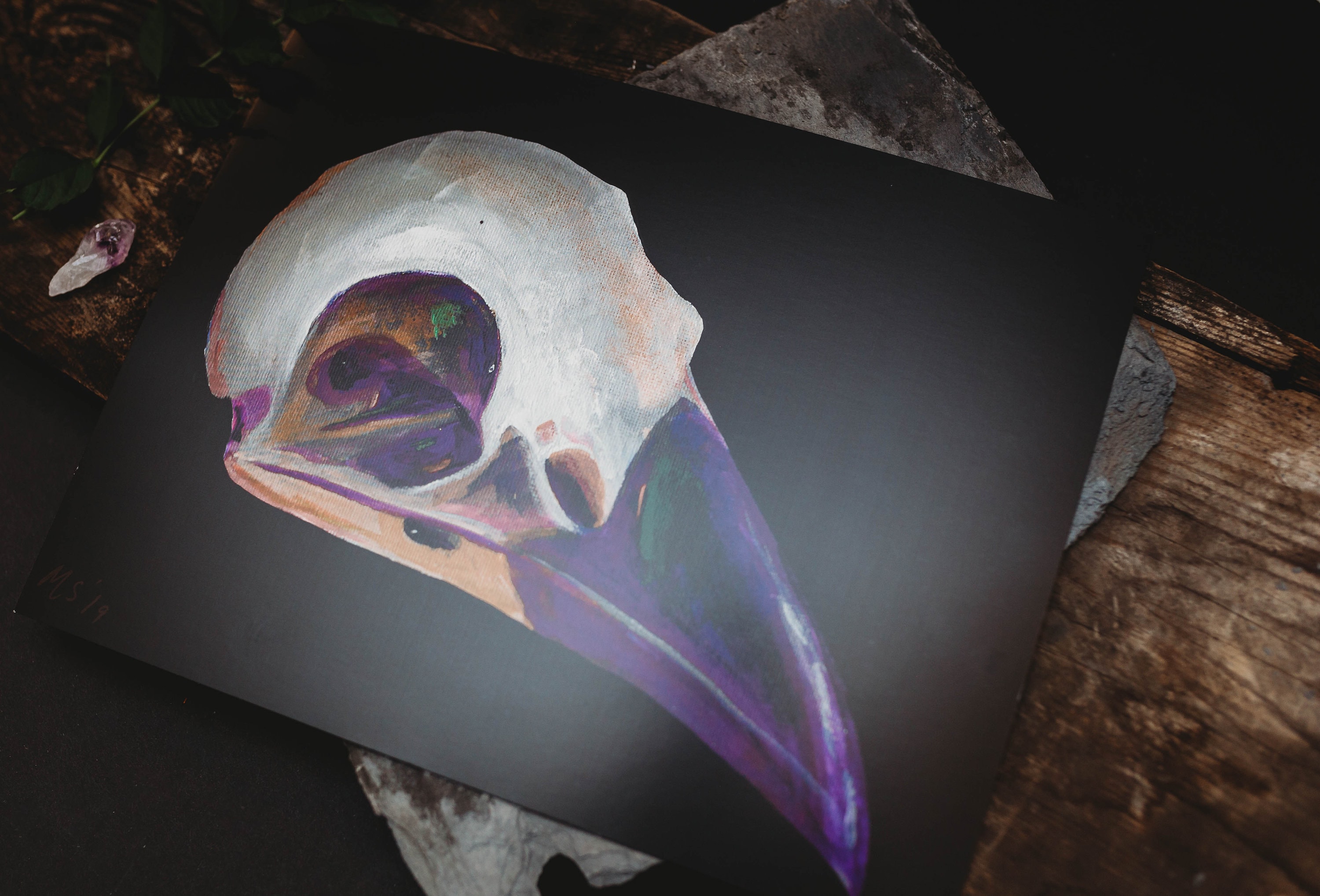 Raven Skull Art Print Animal Bones Series 8x11 Art Print | Etsy