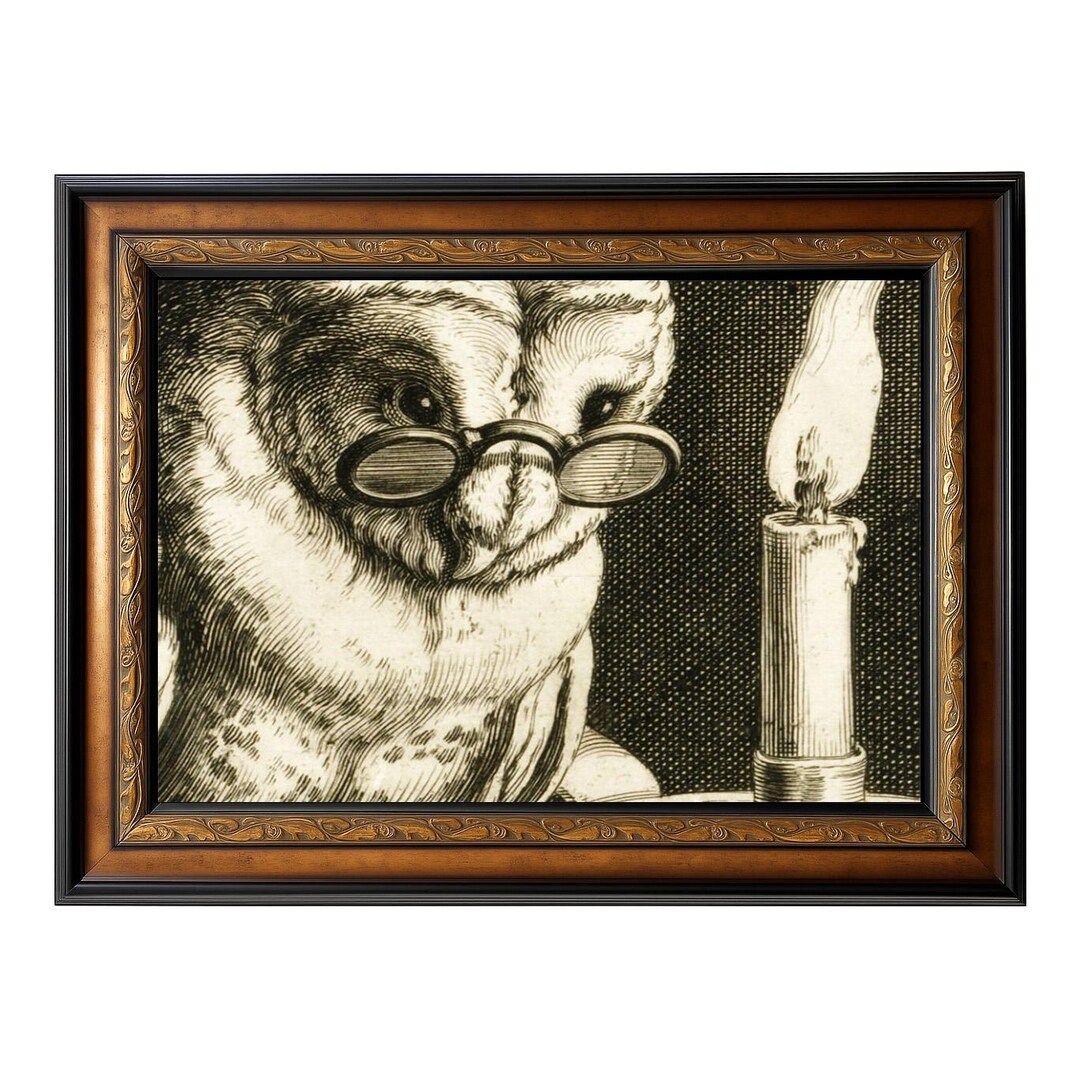 The Reading Owl by Cornelis Bloemaert 42x30 Framed 1600s Dutch ...