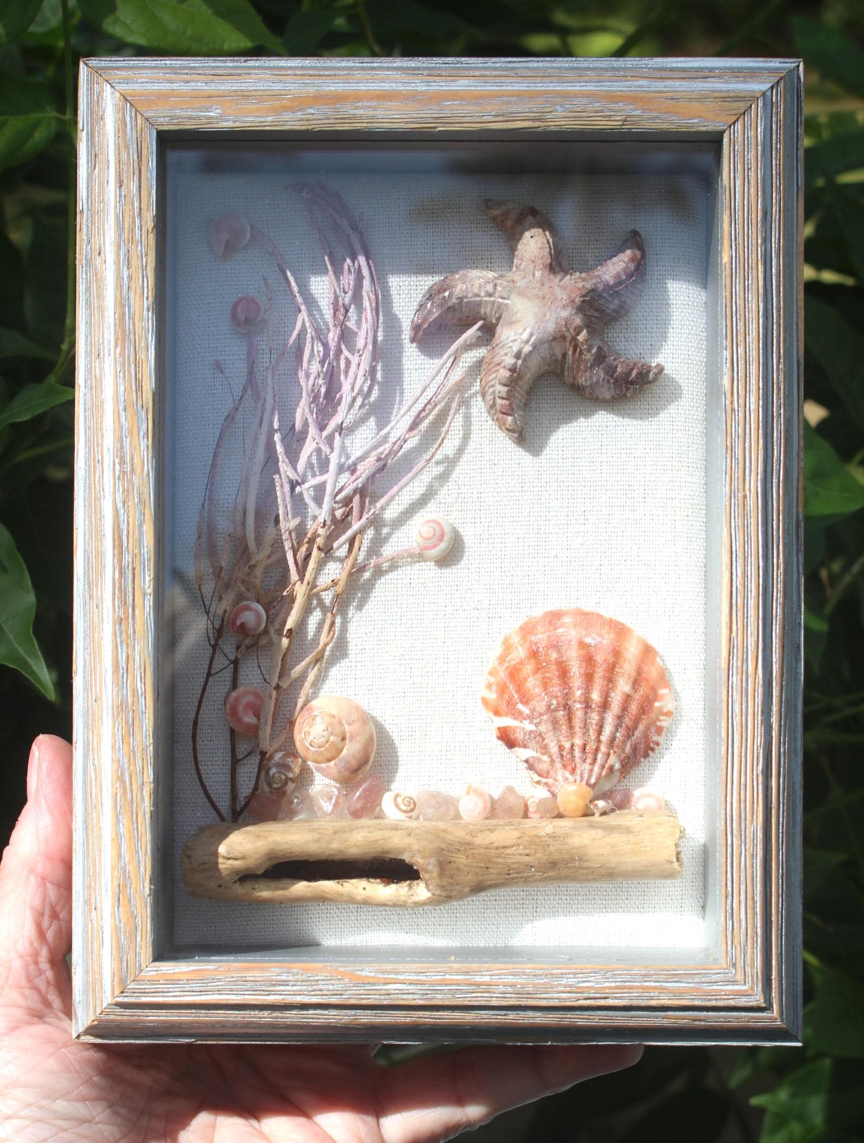 Handmade Sea Life Shadow Box: Agate Starfish, Sea Fan, Driftwood, Tiny ...