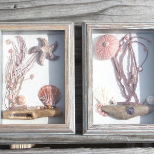 Handmade Sea Life Shadow Box: Agate Starfish, Sea Fan, Driftwood, Tiny ...