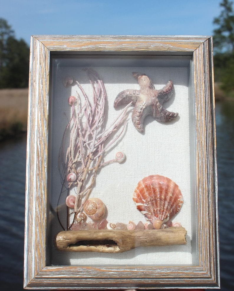 Handmade Sea Life Shadow Box: Agate Starfish, Sea Fan, Driftwood, Tiny ...