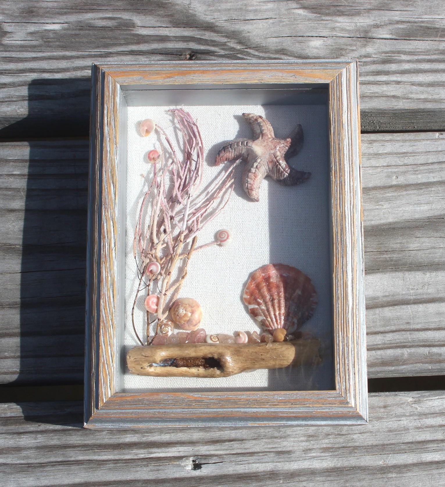 Handmade Sea Life Shadow Box: Agate Starfish, Sea Fan, Driftwood, Tiny ...