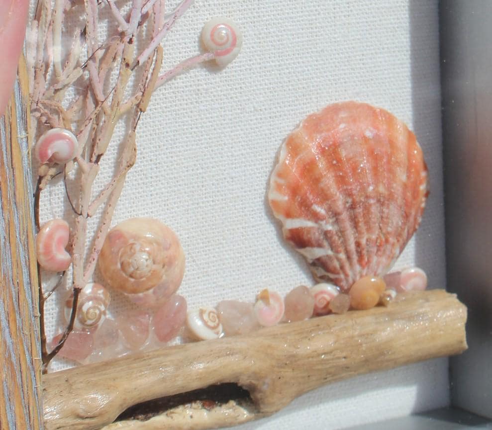 Handmade Sea Life Shadow Box: Agate Starfish, Sea Fan, Driftwood, Tiny ...
