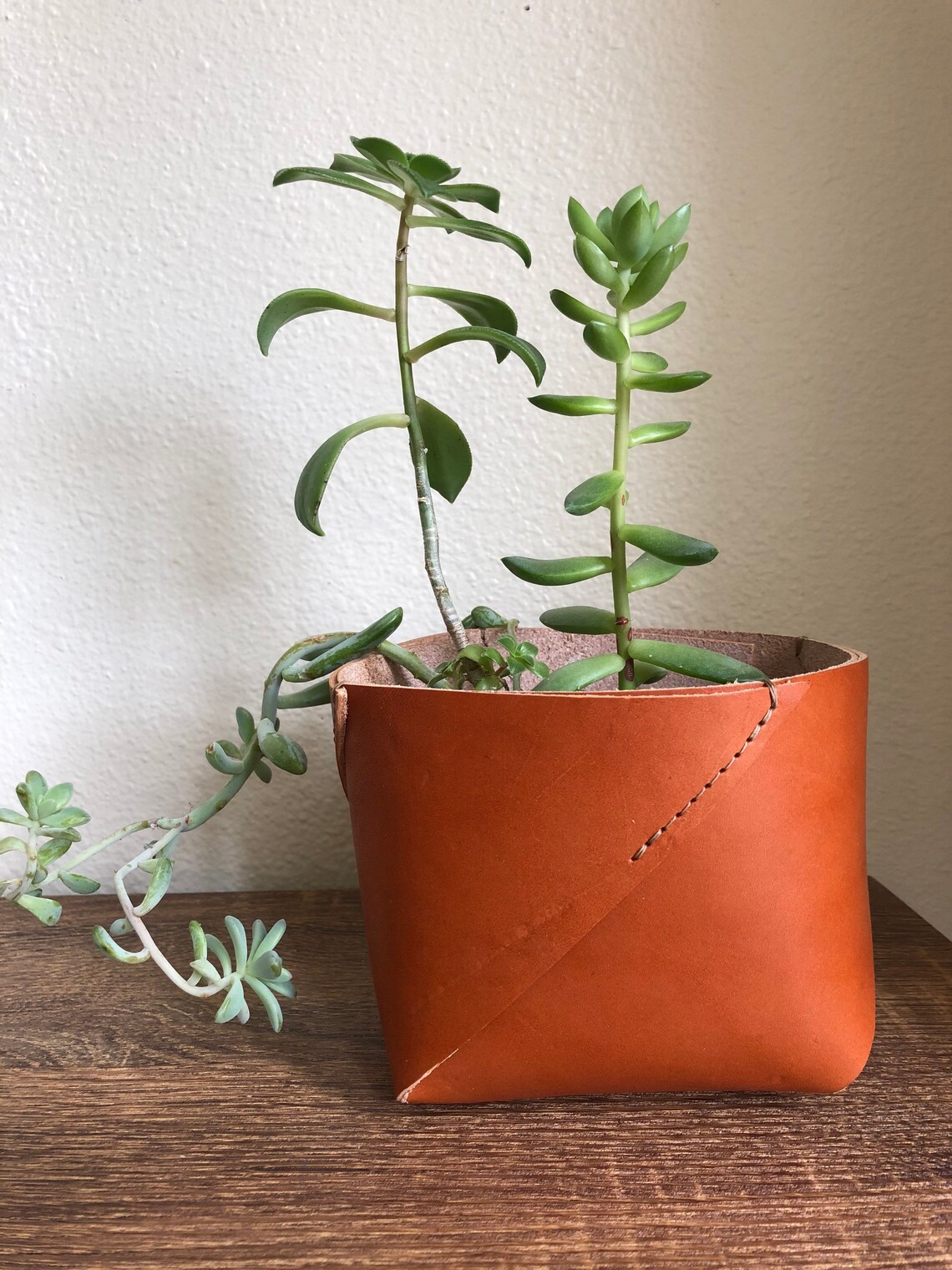 Leather Planter | Leather Container | Decorative Leather Box | Catchall ...