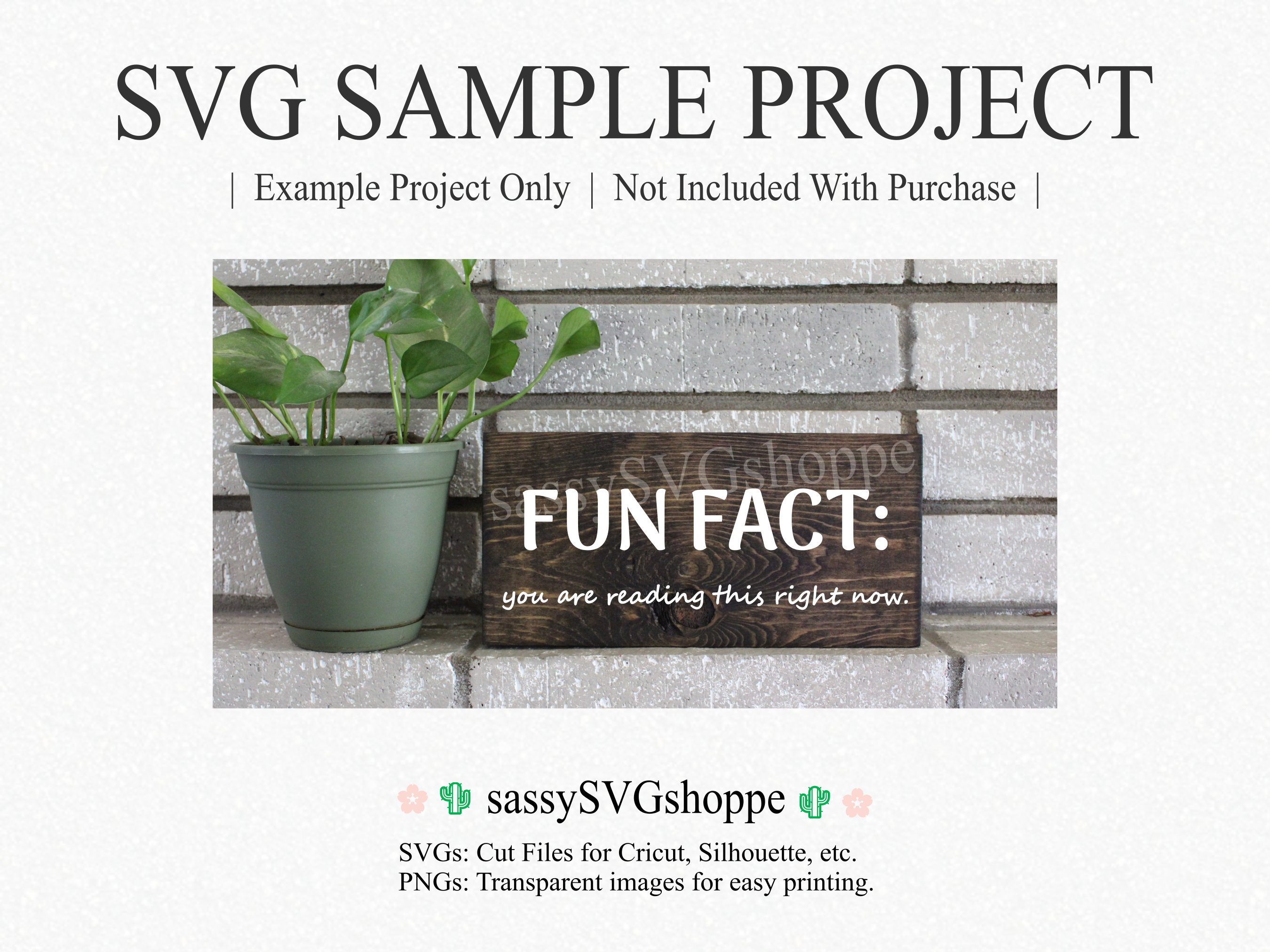 Fun Fact SVG Funny Fun Fact Shirt SVG Funny T Shirt Cricut - Etsy