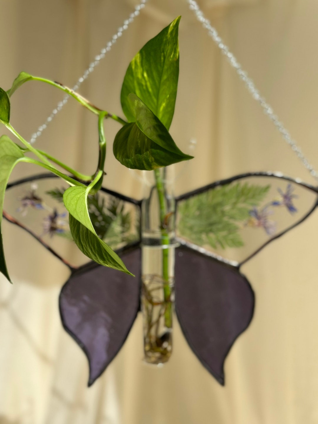 Decorative Glass Butterfly With Test Tube for Plant Cuttings ...