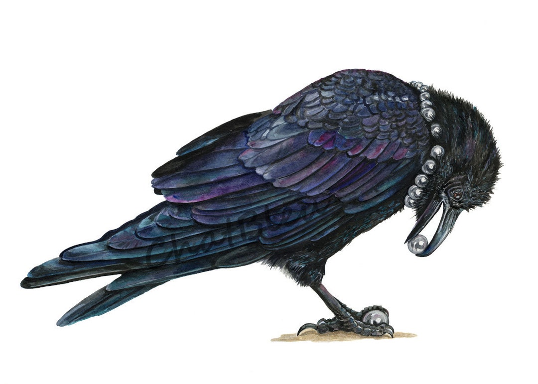 Raven Art : Le Corbeau Large Watercolor Archival Print N22 - Etsy