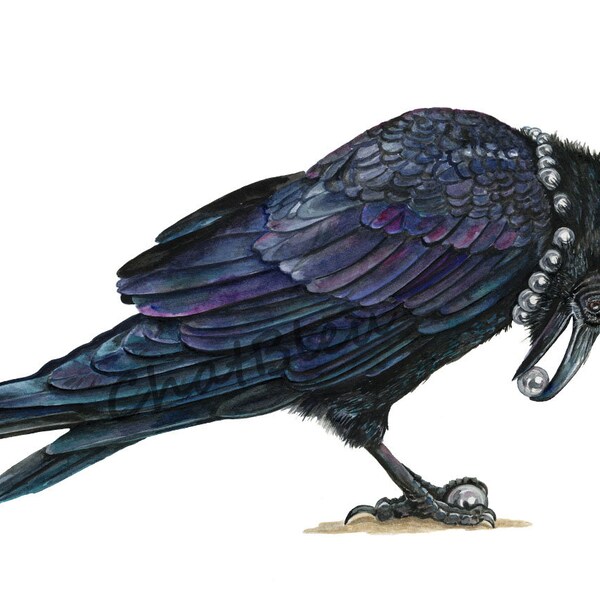 Corbeau - Etsy