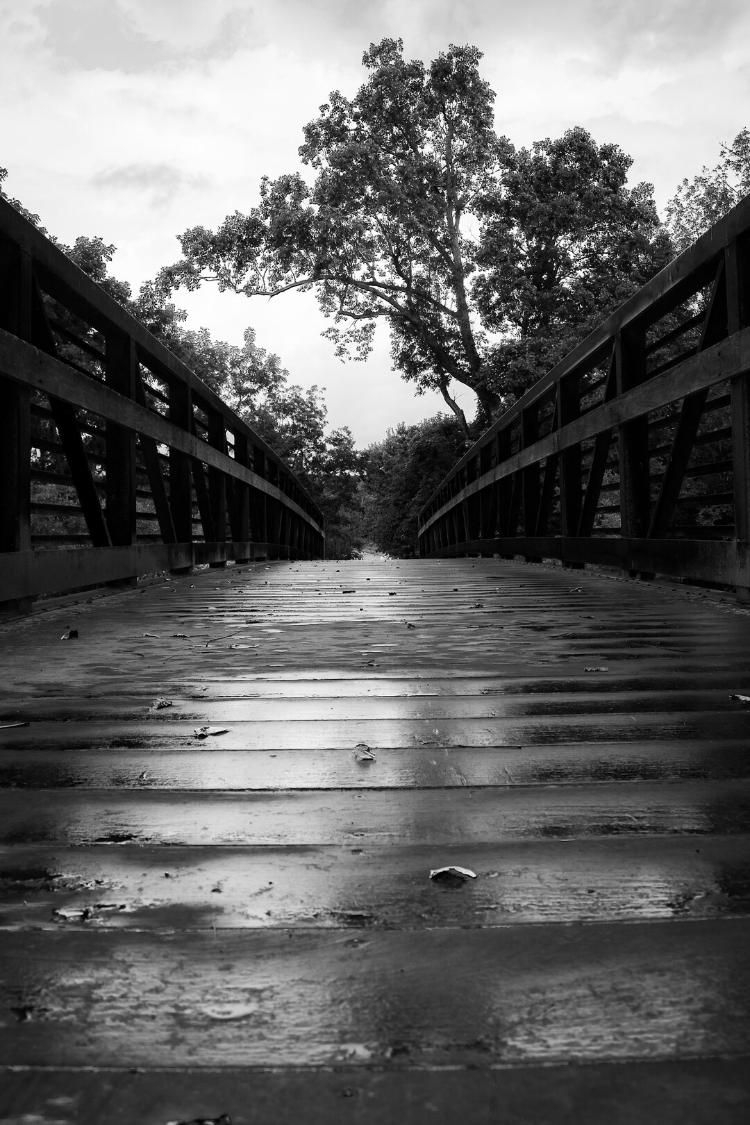 Over the Bridge Photograph, Bridge Poster, Bridge Wall Art ...