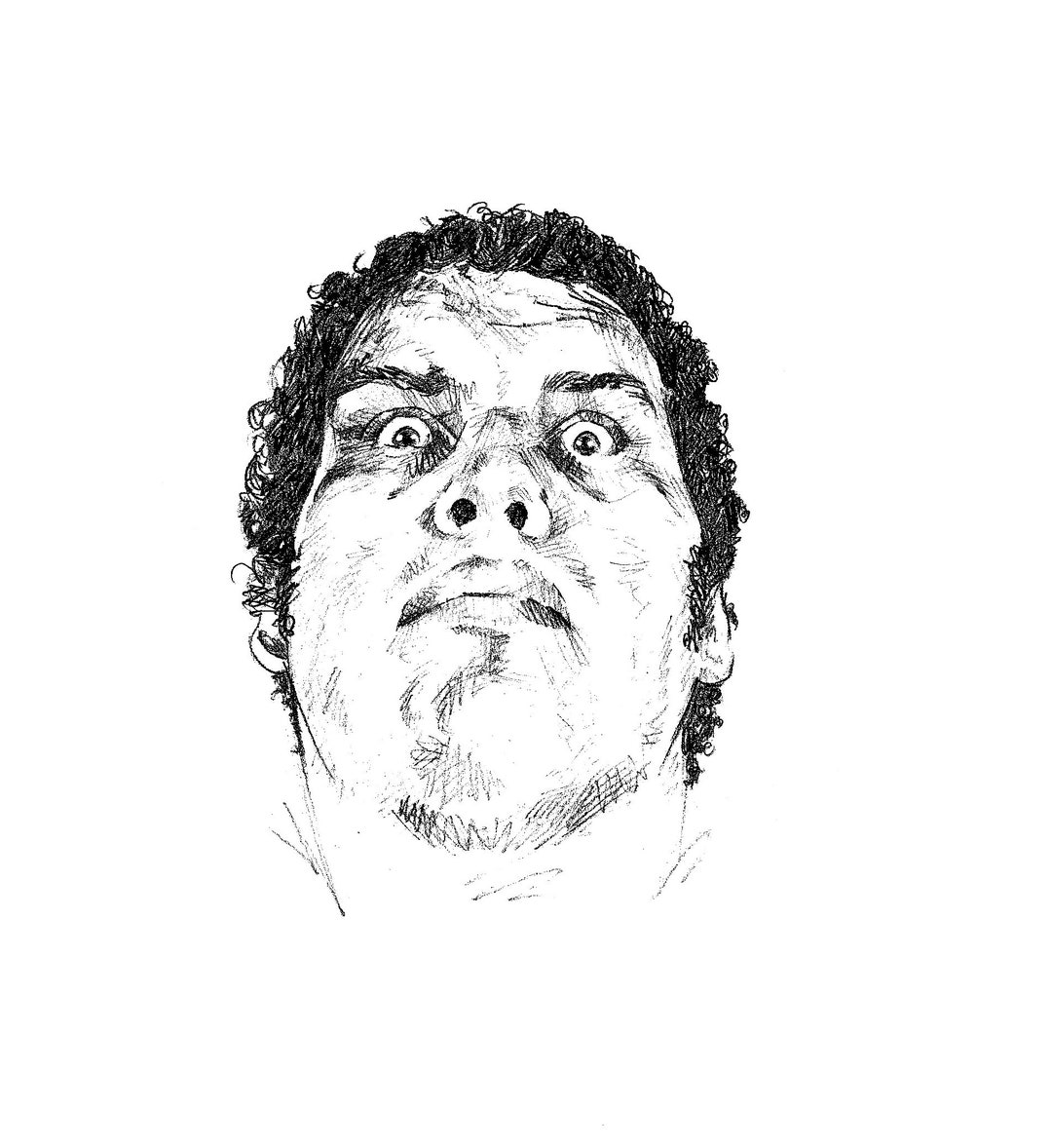 ANDRE THE GIANT Art Print - Etsy