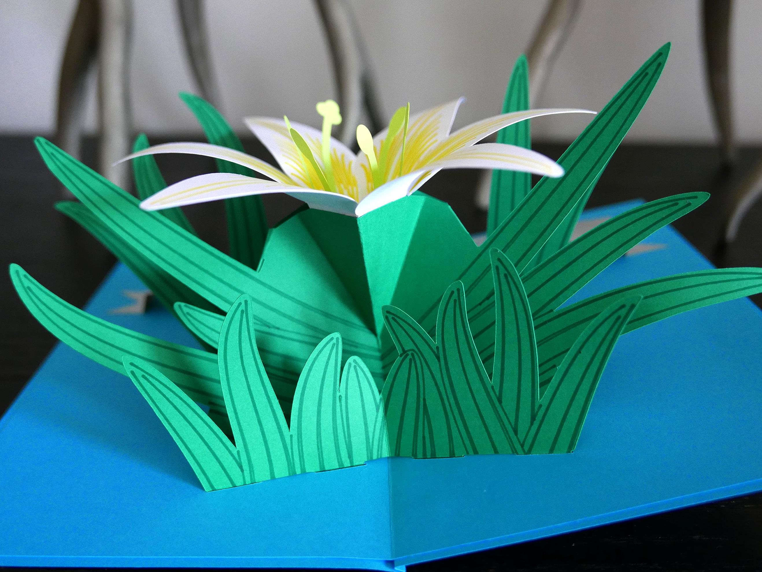 DIY Pop-up Lily Card template SVG and PDF files for instant | Etsy