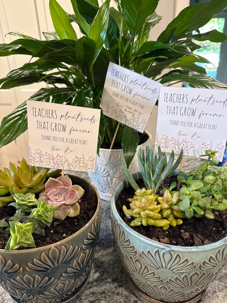 Teachers Plant Seeds That Grow Forever, DIGITAL DOWNLOAD, Teacher ...