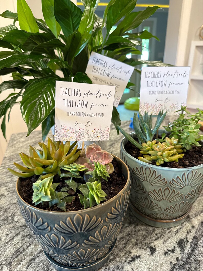 Teachers Plant Seeds That Grow Forever, DIGITAL DOWNLOAD, Teacher ...