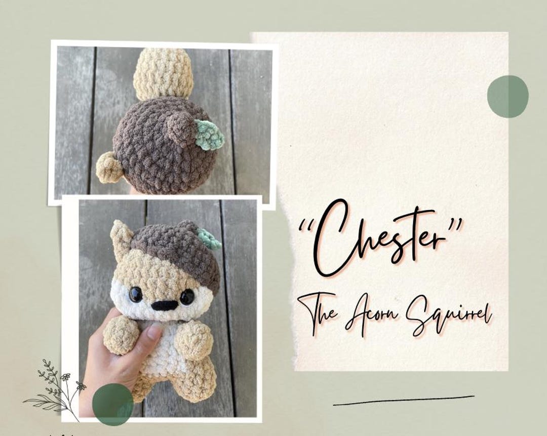 Chester the Acorn Squirrel Crochet Pattern, Amigurumi Pattern, Plushie ...