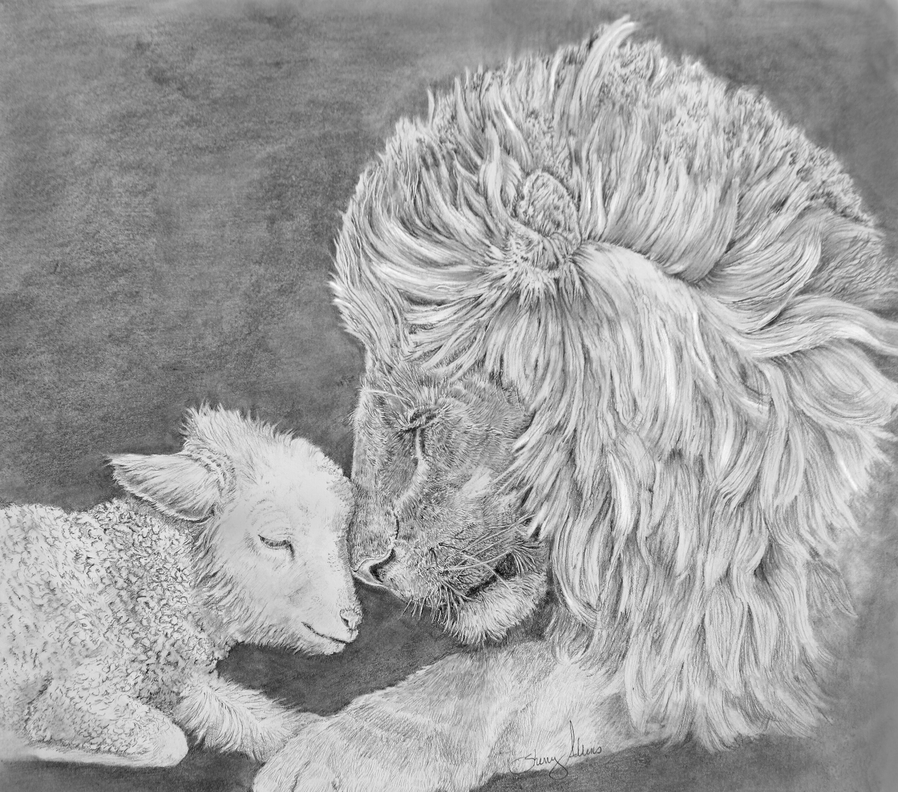 Lion And Lamb Drawing