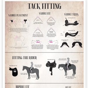 Bridle and Saddle Fit Poster, Horse Tack Knowledge Equestrian Poster ...