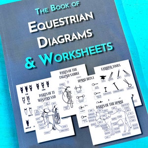 The Book of Equestrian Diagrams & Worksheets | Horse Parts and Horse ...