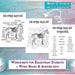 Equestrian Knowledge Diagrams & Worksheets - Horse Diagrams, Equine ...