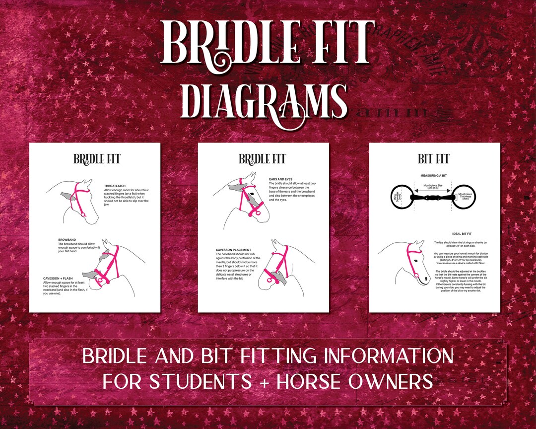 Bridle Fit Printable Bundle, Bridle and Bit Fit Diagrams for Equestrians, Horse Owners, Riding ...