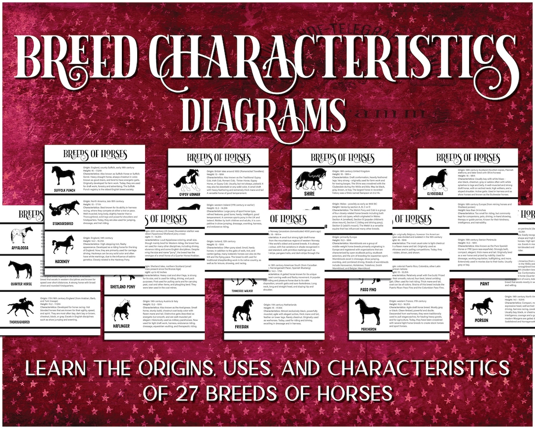 Horse Breed Characteristics Printable Diagrams, Horse Breeds Equestrian ...