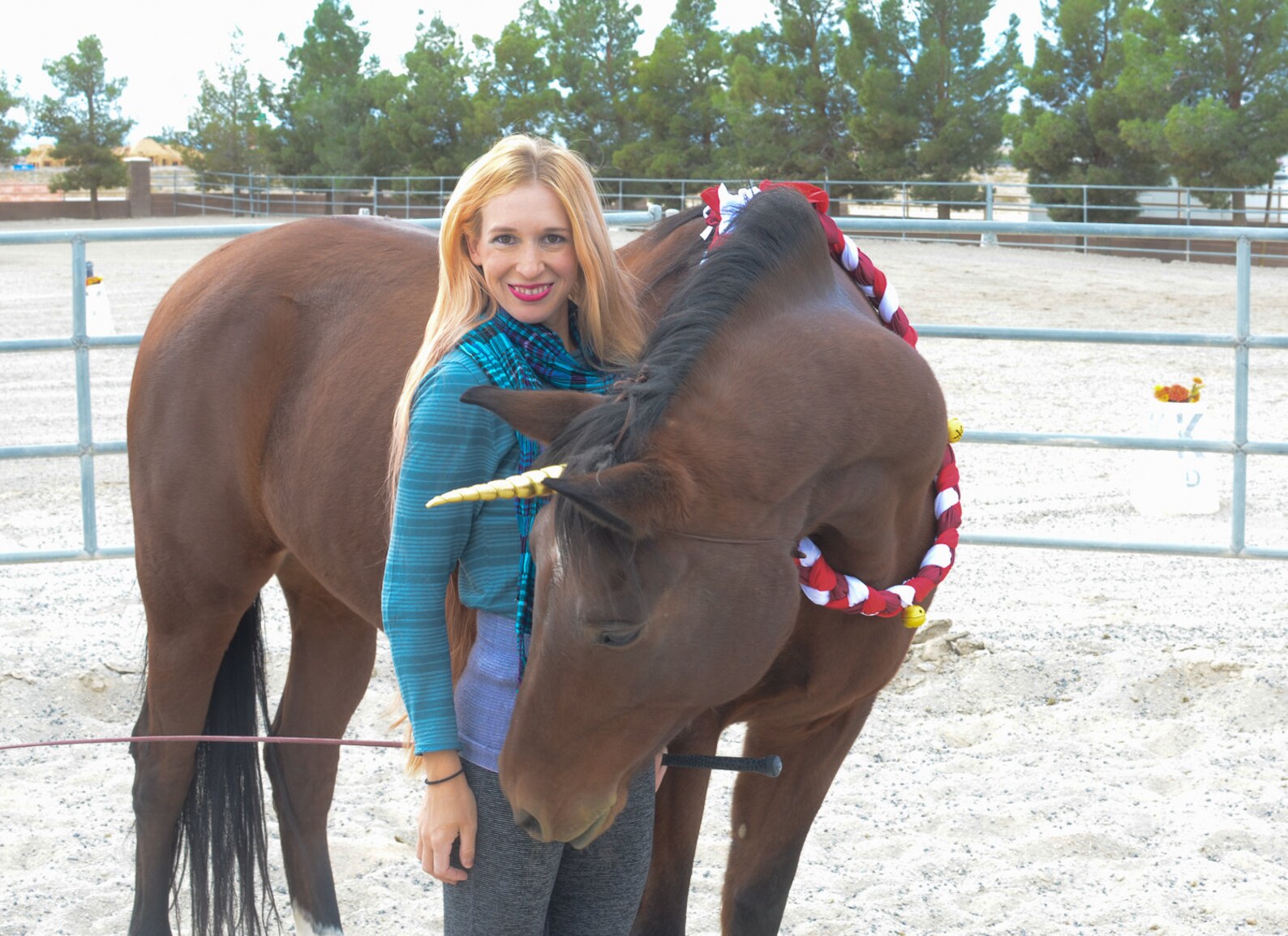 Sleigh Bells Neck Wreath for Horse or Pony | Horse Neck Wreath | Neck ...