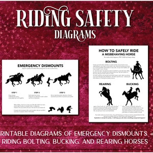 Horse Riding Safety Printable Diagram, Equestrian Safety Activity for ...