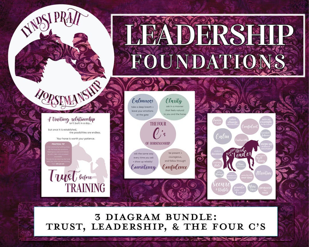 Horse Leadership Foundations Bundle #1: Positive Horse Training ...