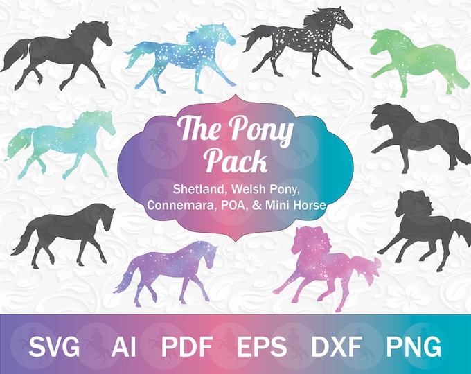 Welsh Pony SVG Bundle, Show Pony Clip Art, Welsh Pony Silhouetten PNG ...