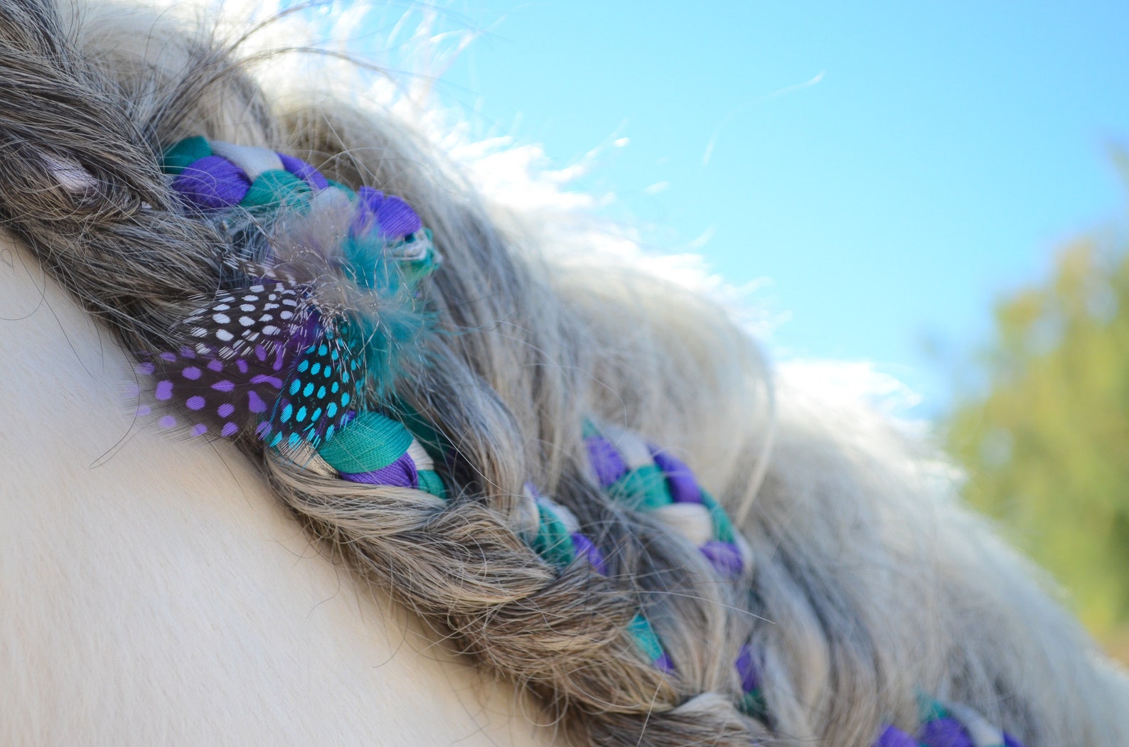 Braided Feather Running Braid Mane Clip in Accessory Mane - Etsy