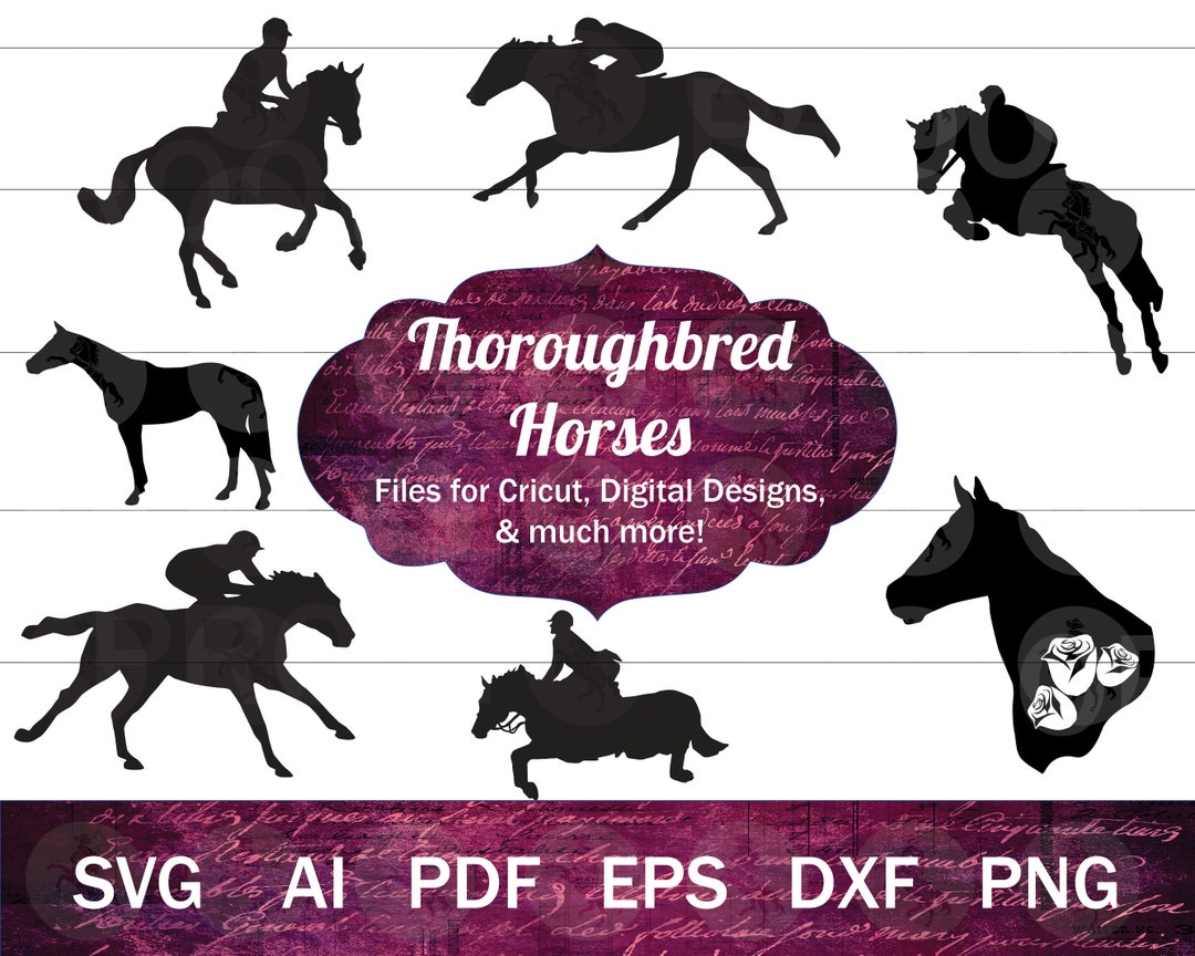 Thoroughbred SVG for Cricut, Thoroughbred Horse SVG Bundle, Horse ...