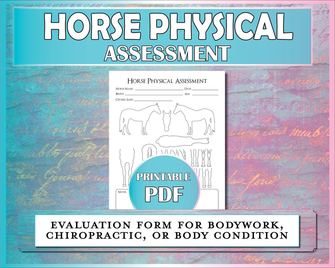 Horse Physical Assessment Form for Equine Body Condition, Bodywork ...