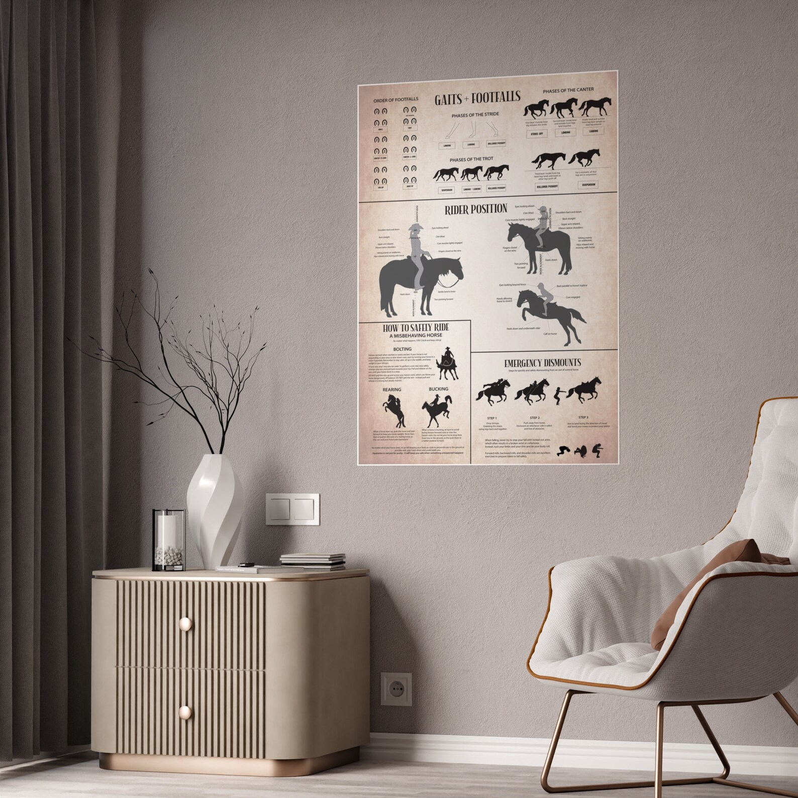 Gaits, Rider Position, & Safety Poster, Horse Knowledge Equestrian ...