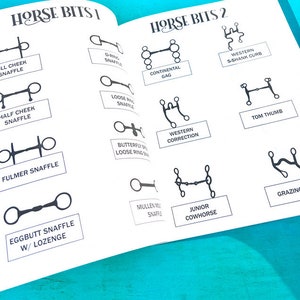 The Book of Equestrian Diagrams & Worksheets | Horse Parts and Horse ...