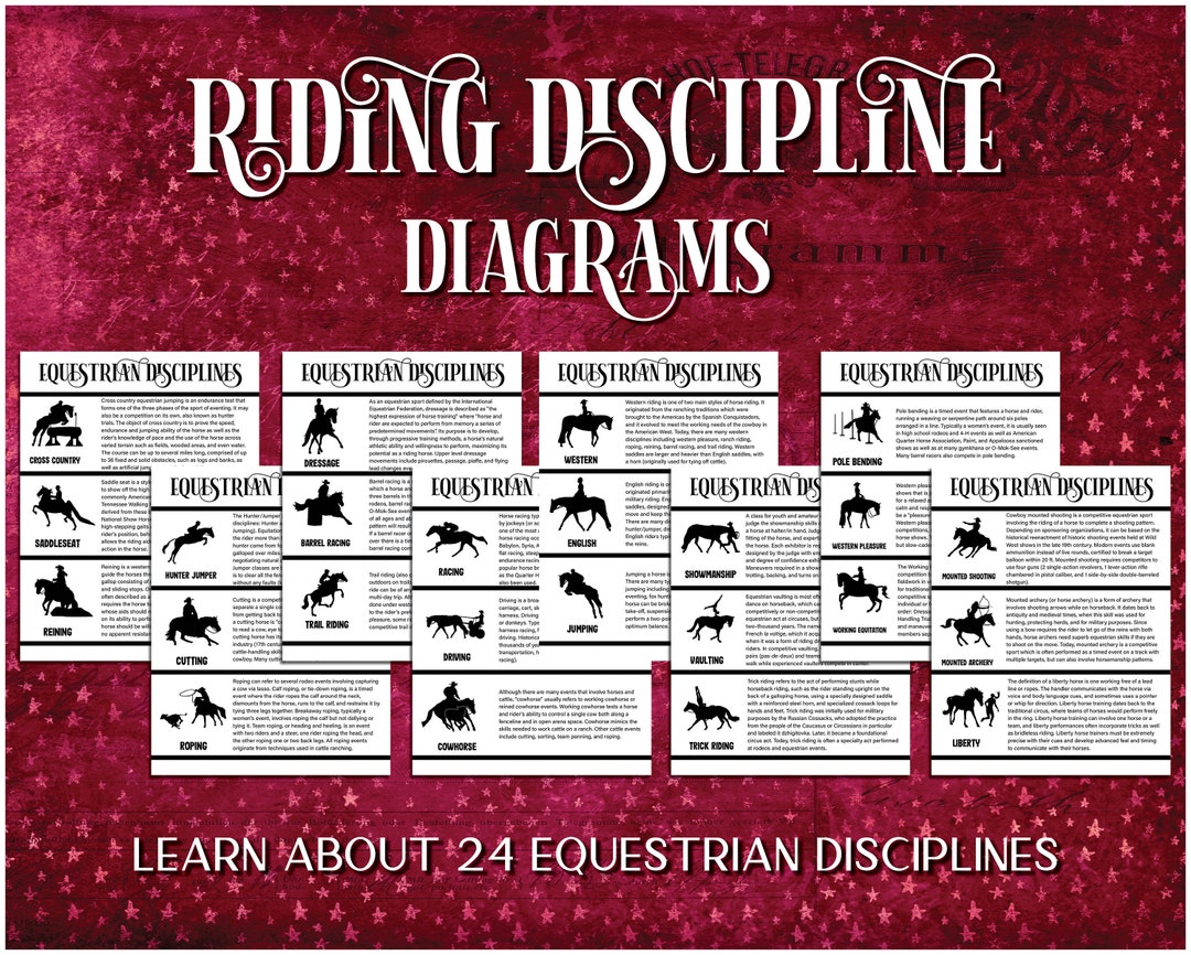 Riding Discipline Printable Diagrams, Western and English Rider ...