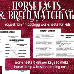 The Horse Camp MEGA Bundle 40 Equestrian Activities, Games, Exercises ...