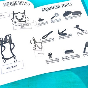 The Book of Equestrian Diagrams & Worksheets | Horse Parts and Horse ...