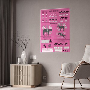 Gaits, Rider Position, & Safety Poster, Horse Knowledge Equestrian ...