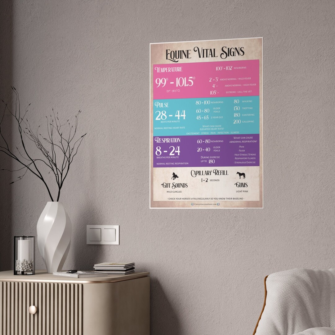 Equine Vital Signs Poster, TPR Horse Knowledge Equestrian Poster, Barn ...