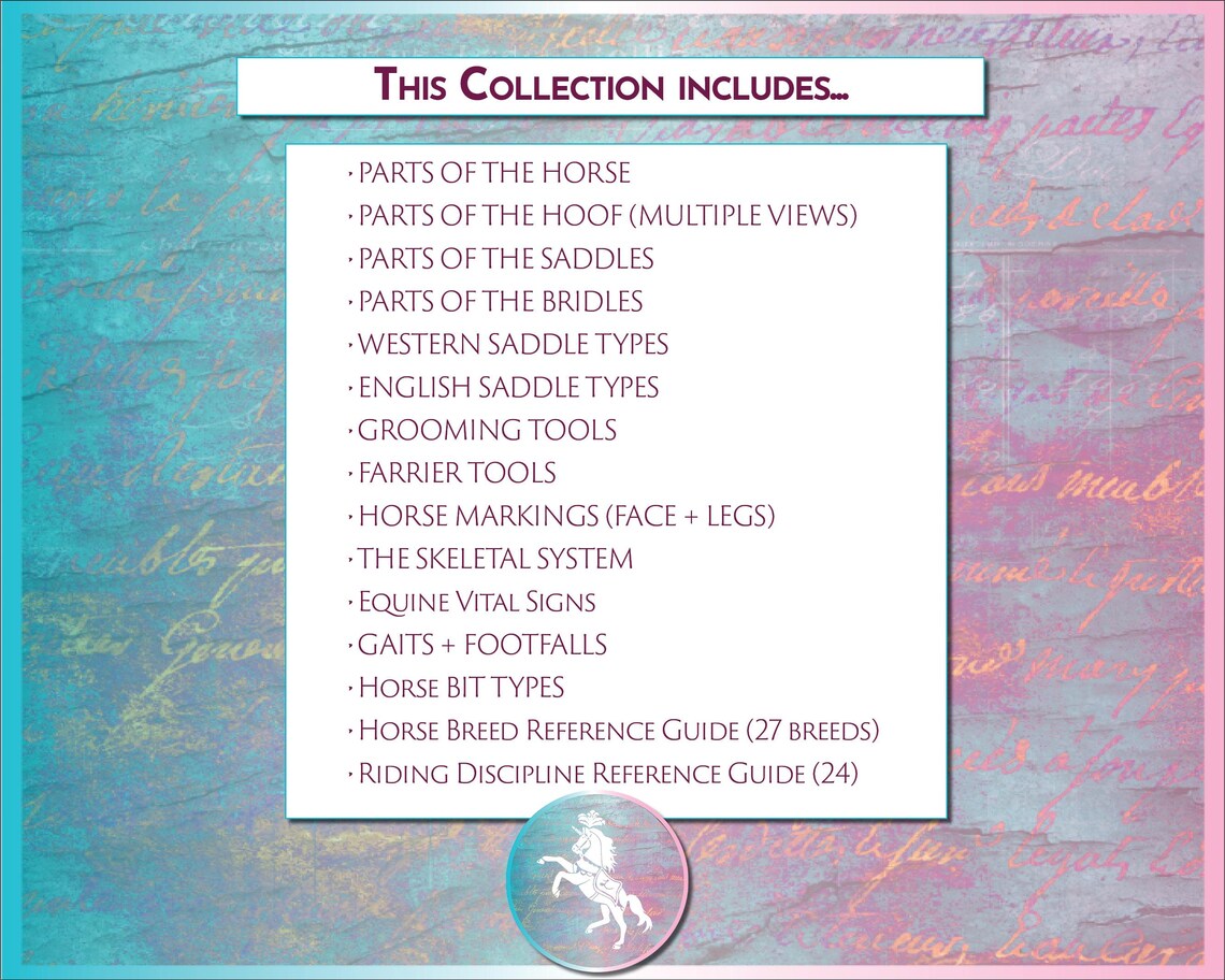 Equestrian Knowledge Diagrams & Worksheets - Horse Diagrams, Equine ...