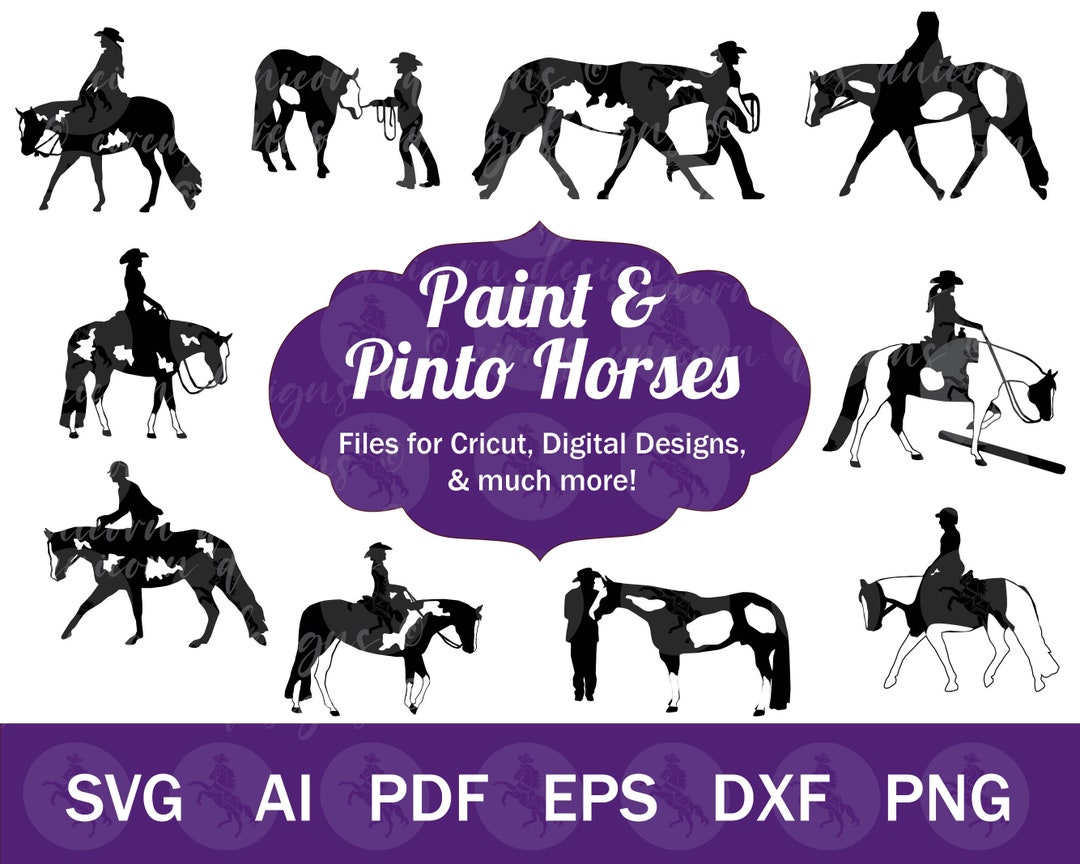 Paint Horse SVG for Cricut, Pinto Horse SVG, Horse Show SVG, Horse Show ...